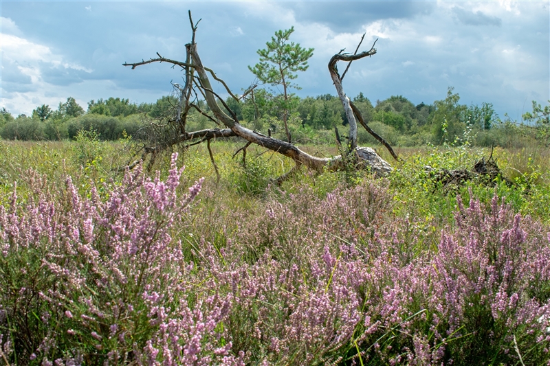 Programma 3 Wonen en werken in Winterswijk | Programmabegroting 2026 | Winterswijk PC